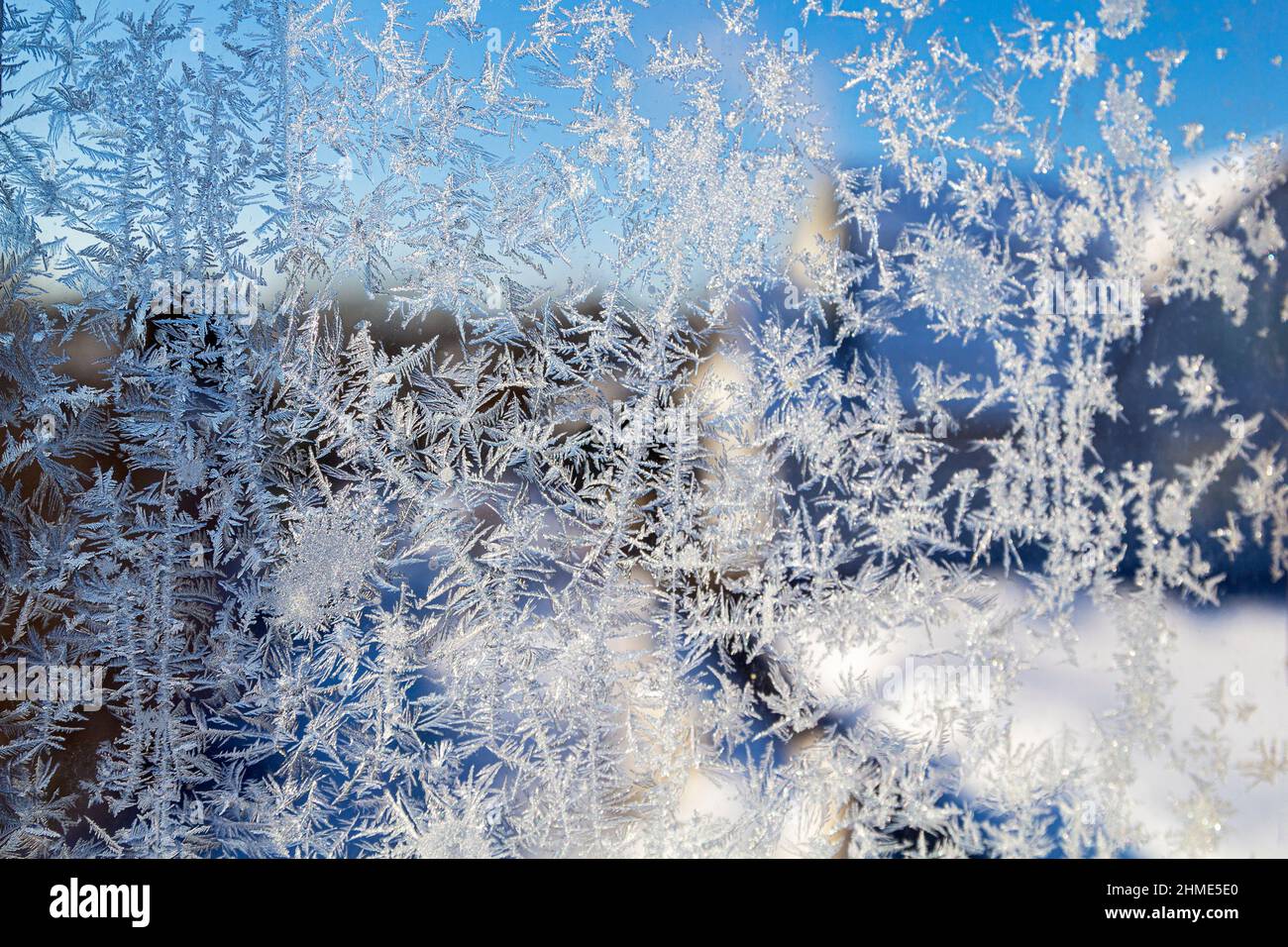Frozen Windows Wallpaper