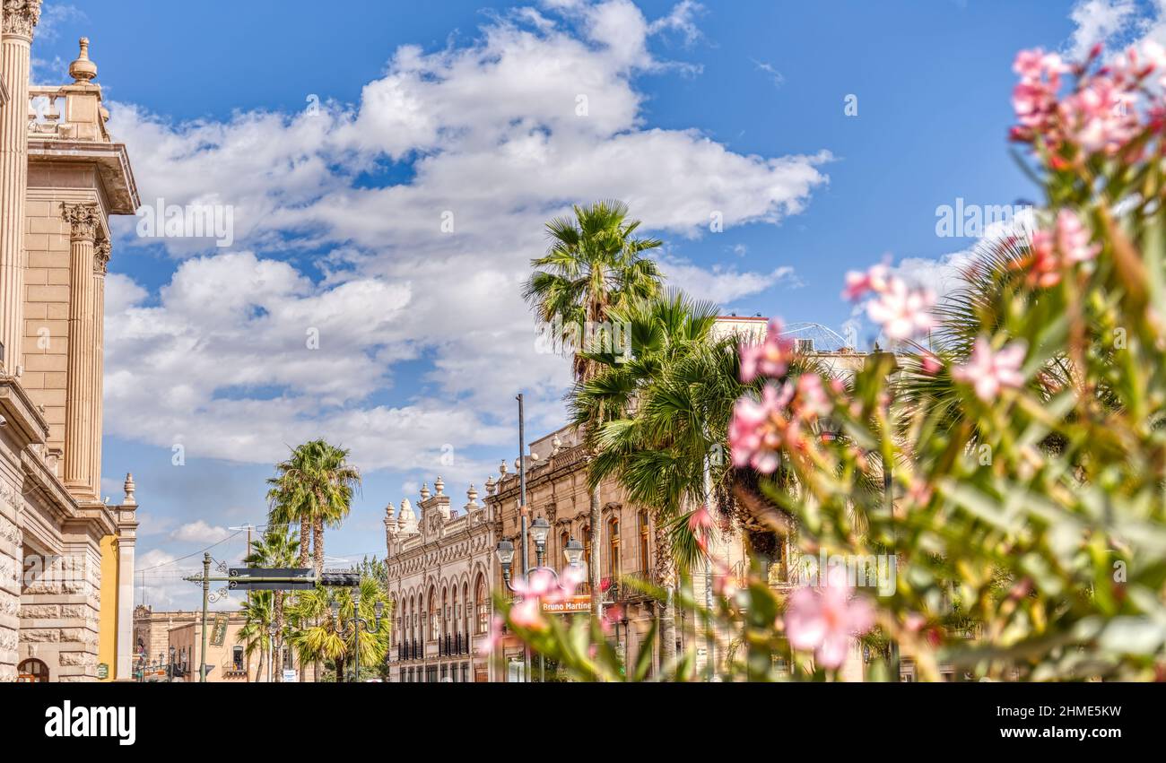 Durango Historical Center, Mexico Stock Photo - Alamy
