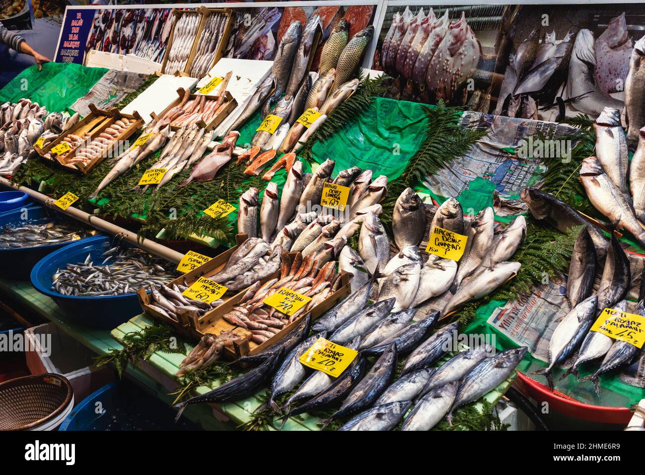 Istanbul, Turkey – Nov 21, 2021: various fresh fish on sale at a fish ...