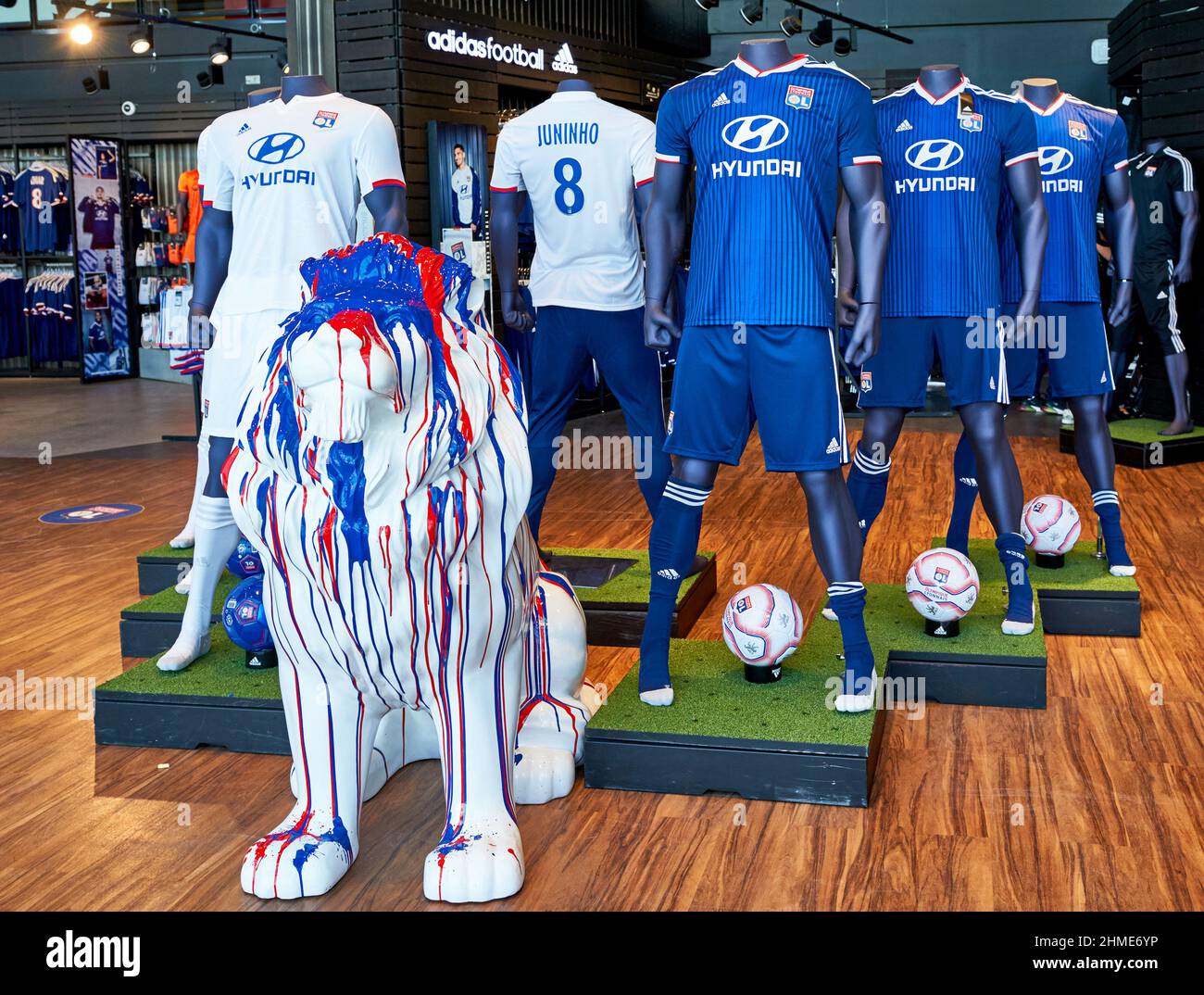 Parc Olympique Lyonnais - the official playground of FC Lyon, France ...