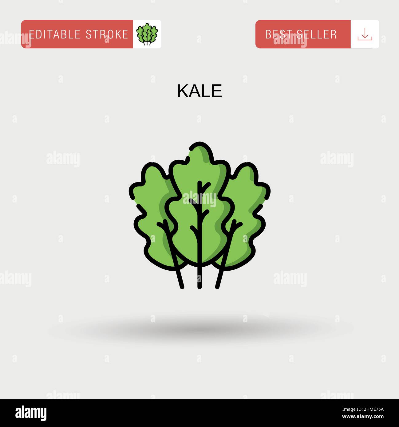 Curly kale leaves Stock Vector Images - Alamy