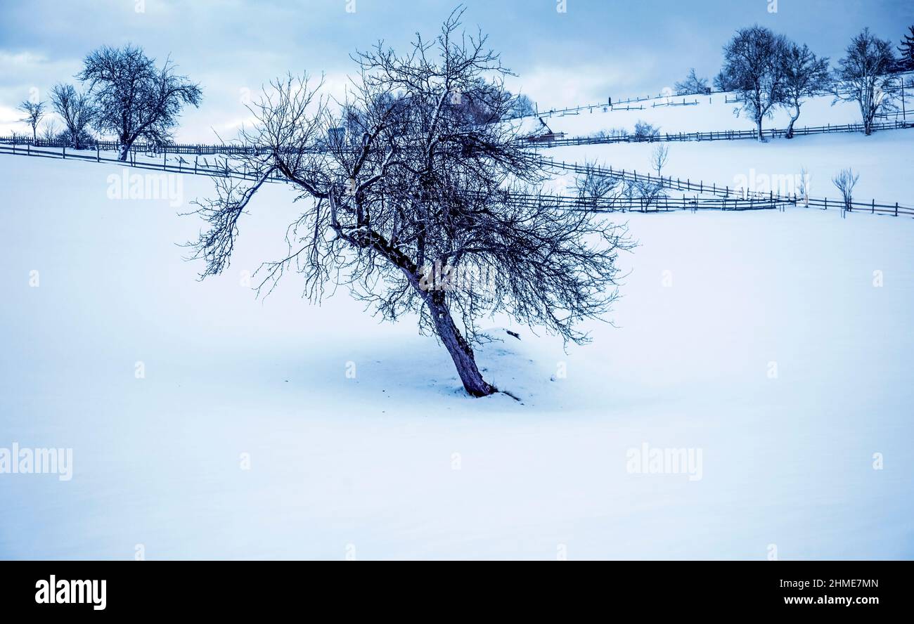Tree coverd hi-res stock photography and images - Alamy