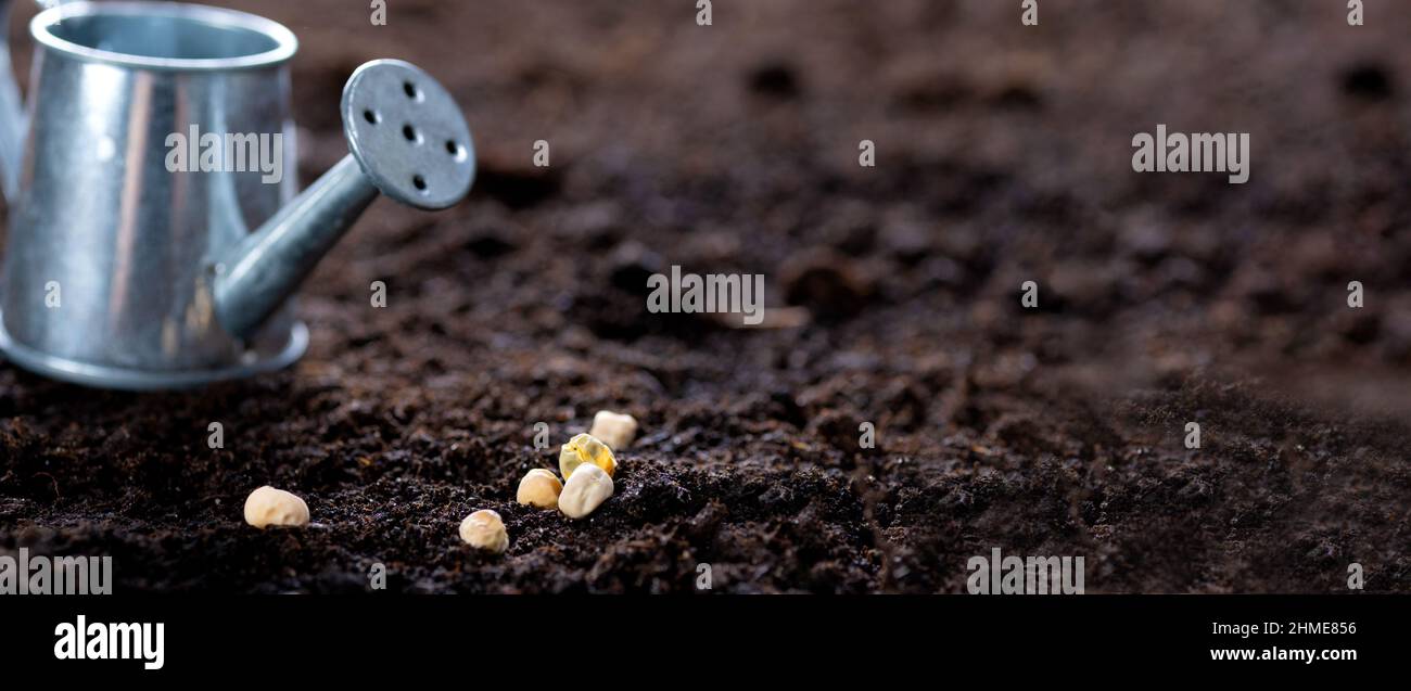 Good seed bed hi-res stock photography and images - Alamy