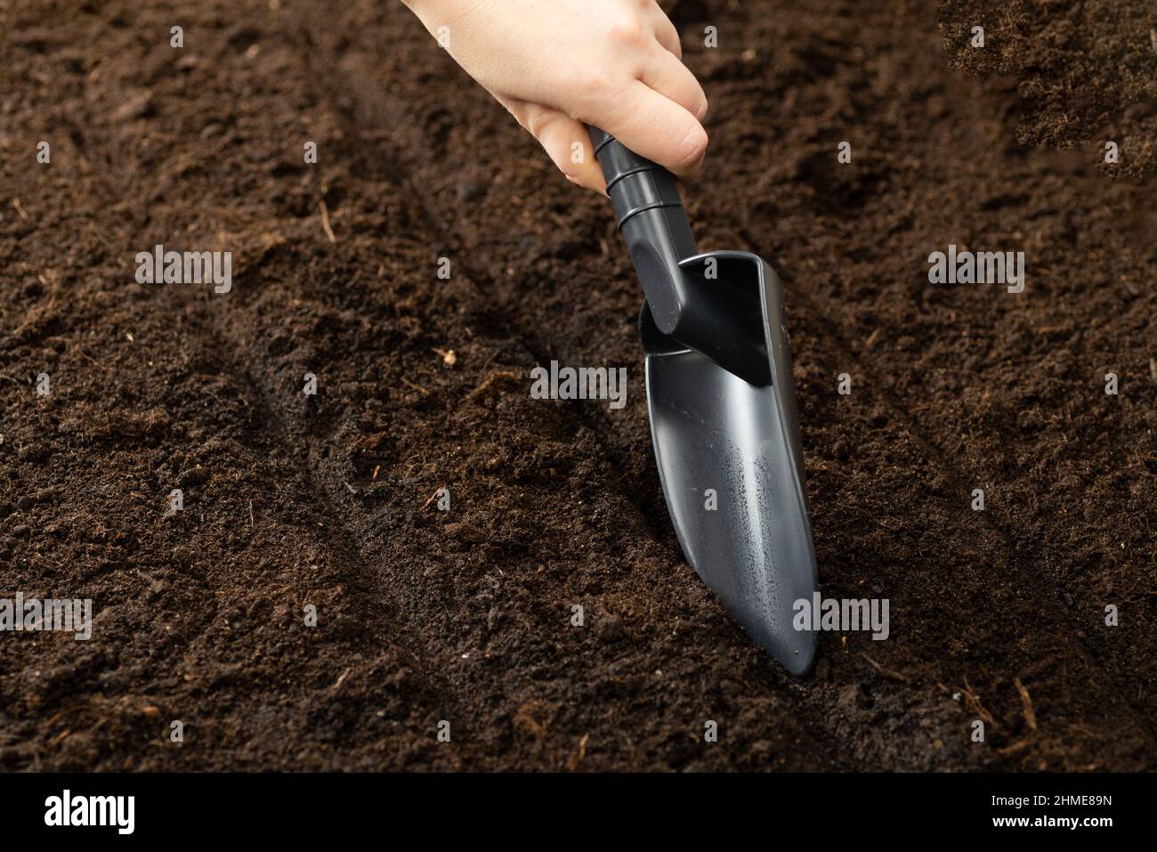 The farmer sets up seed beds with a gardening tool. Sowing seeds in ...