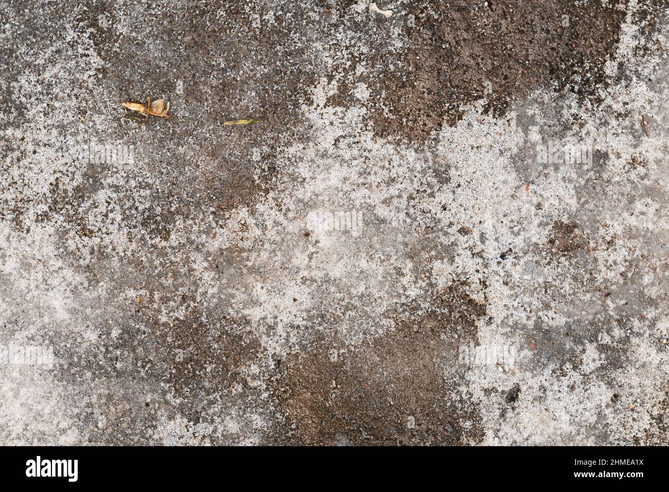 Concrete ground texture hi-res stock photography and images - Alamy