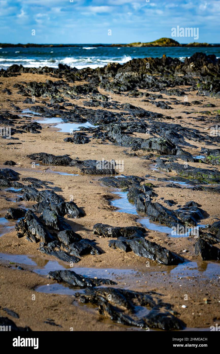 Neigr hi-res stock photography and images - Alamy