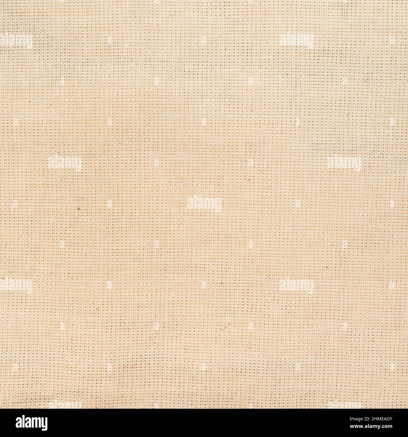 textile square background - textured surface of cotton calico fabric ...