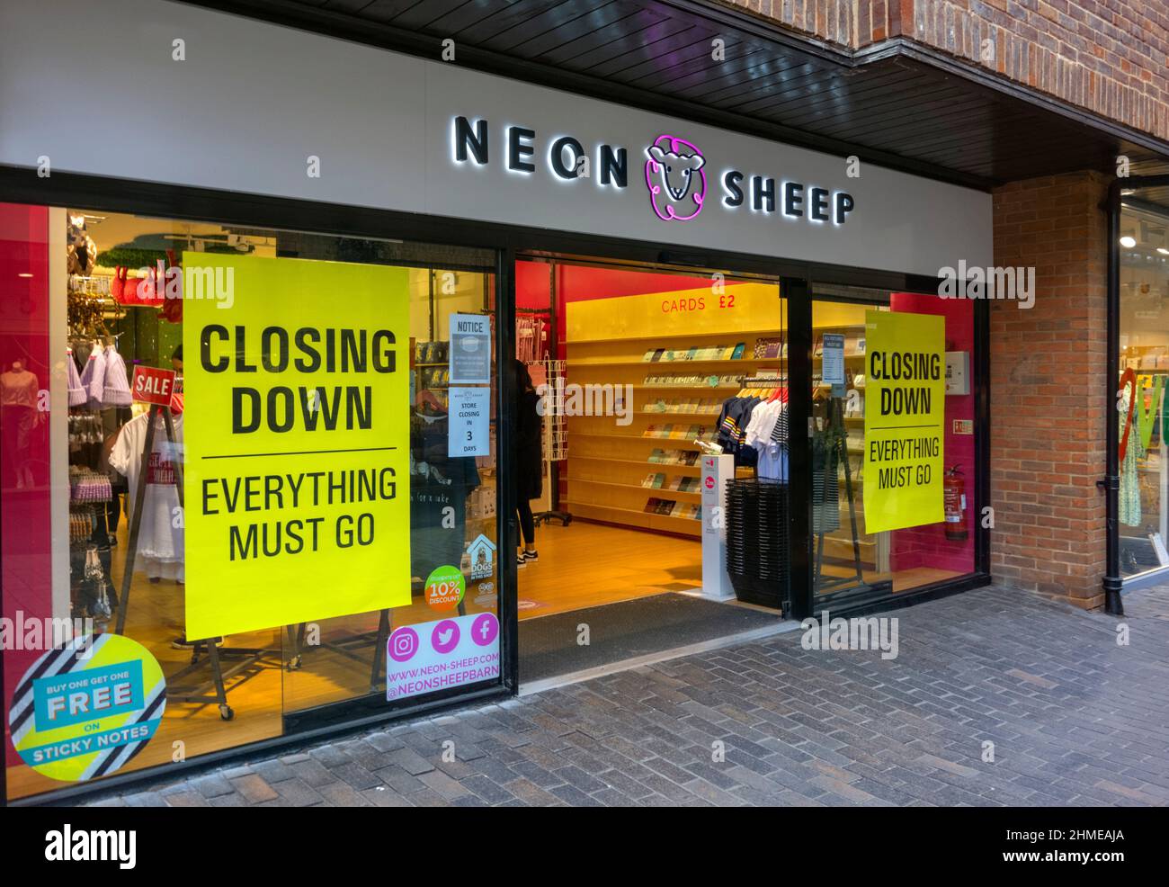 Neon sheep closing down sale hi-res stock photography and images - Alamy
