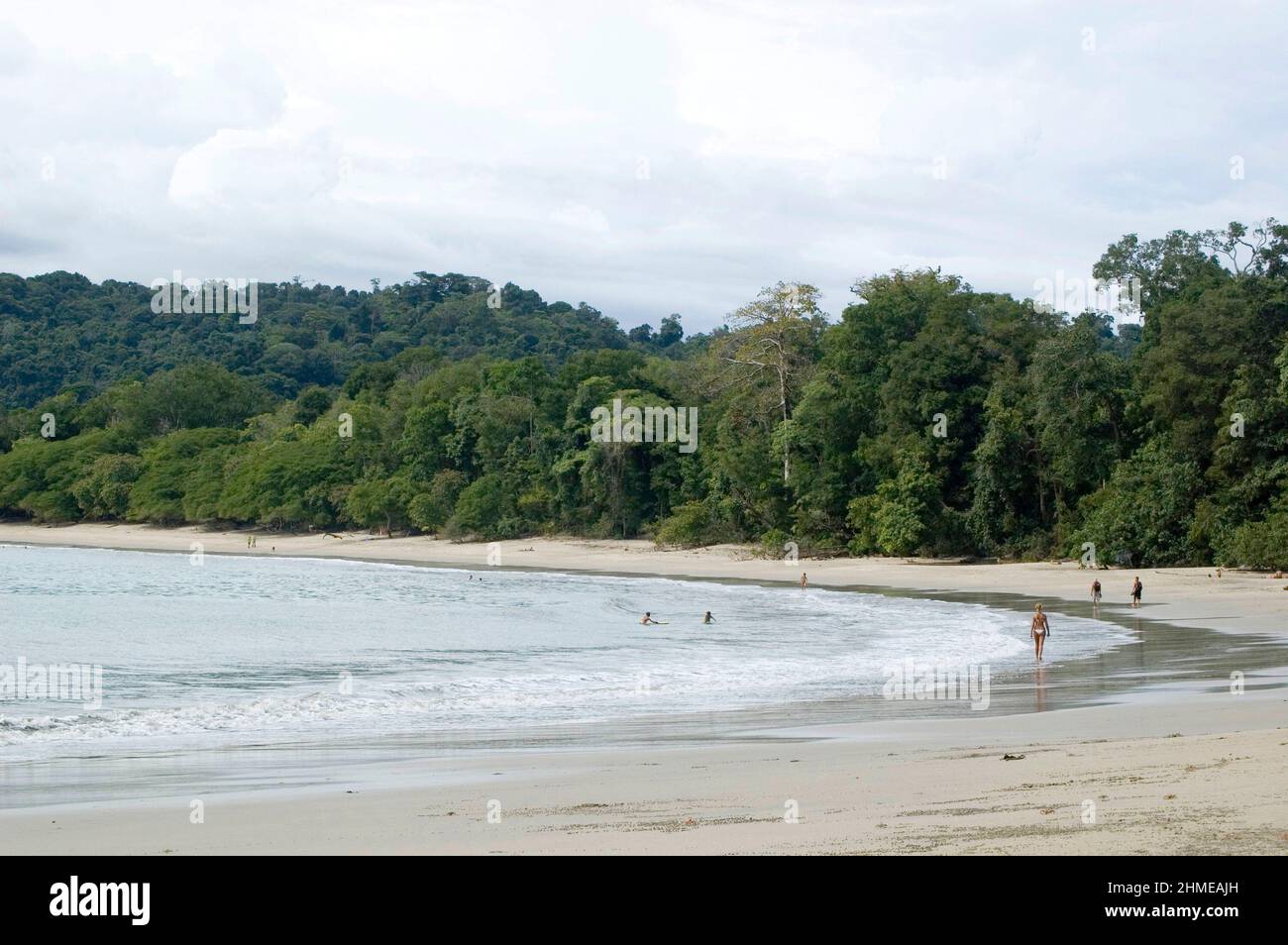 Manuel Antonio National Park, Costa Rica; 08213007: Tropical forest ...