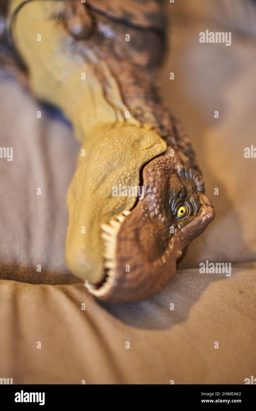 Tyrannosaurus Rex to Stock Photo - Alamy