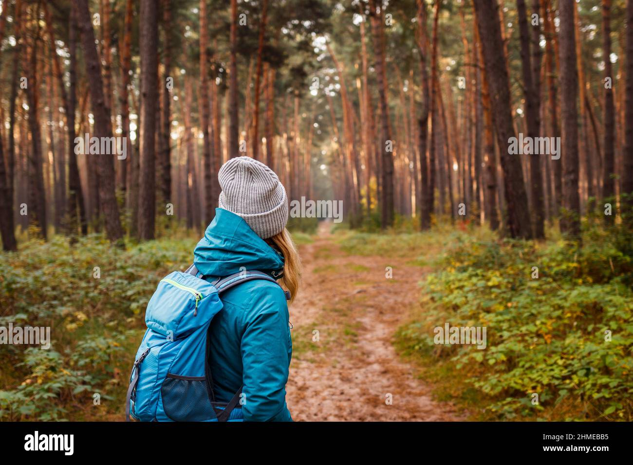 Hiking in forest. Tourist looking at footpath and does not know what ...