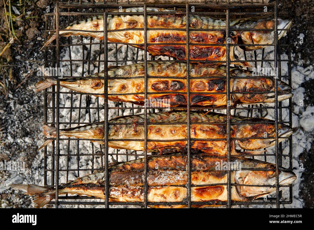 Delicious grilled mackerel fish inside grill grid on charcoal grill ...