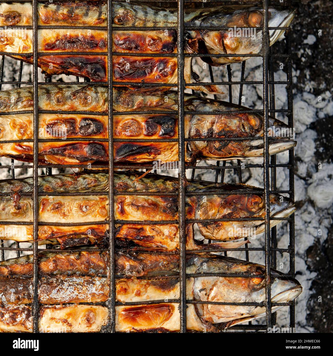 Delicious grilled mackerel fish inside grill grid on charcoal grill ...