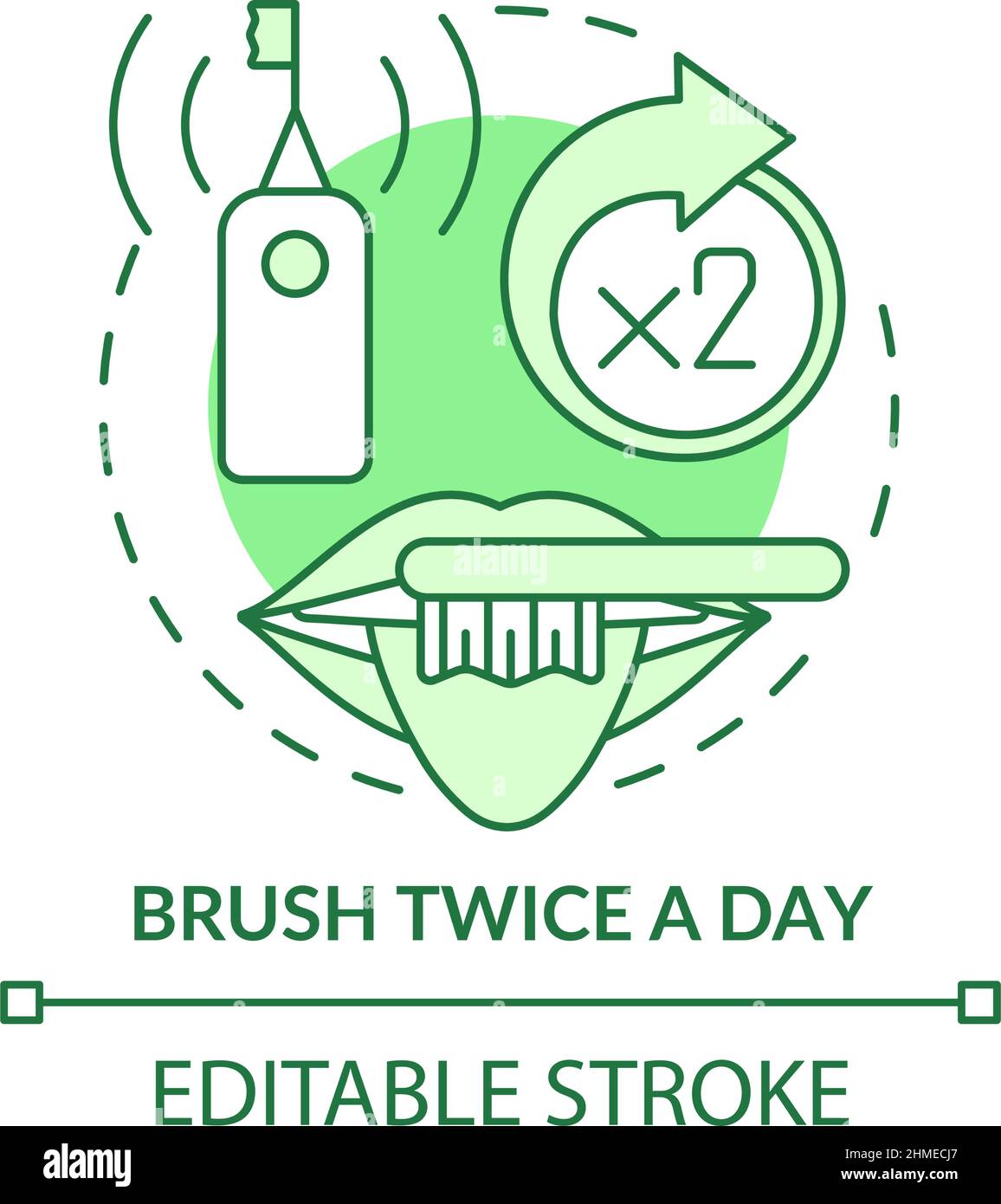 Brush twice every day green concept icon Stock Vector Image & Art - Alamy