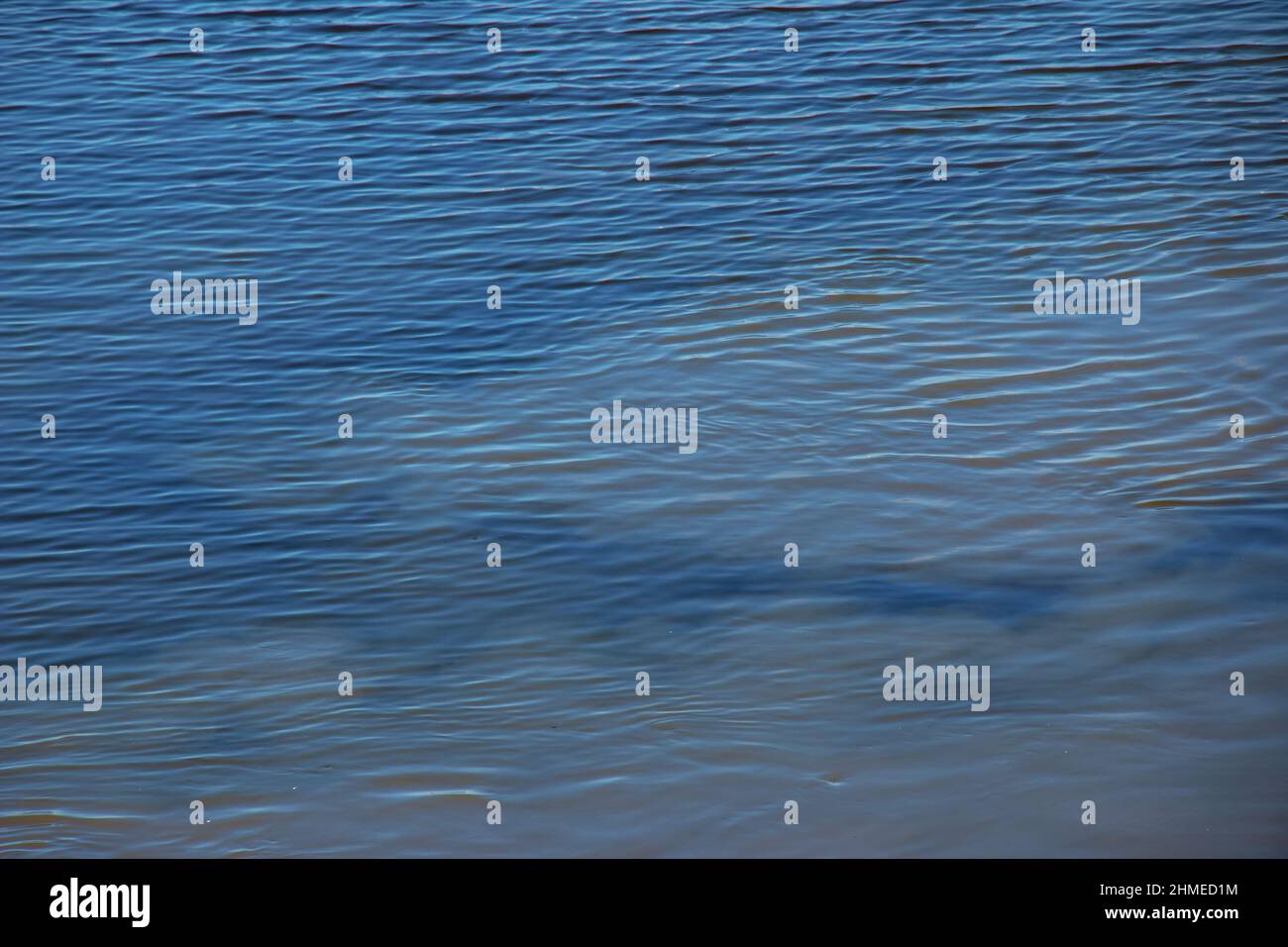 City sewage or sewer enters the river and pollutes the water and the ...