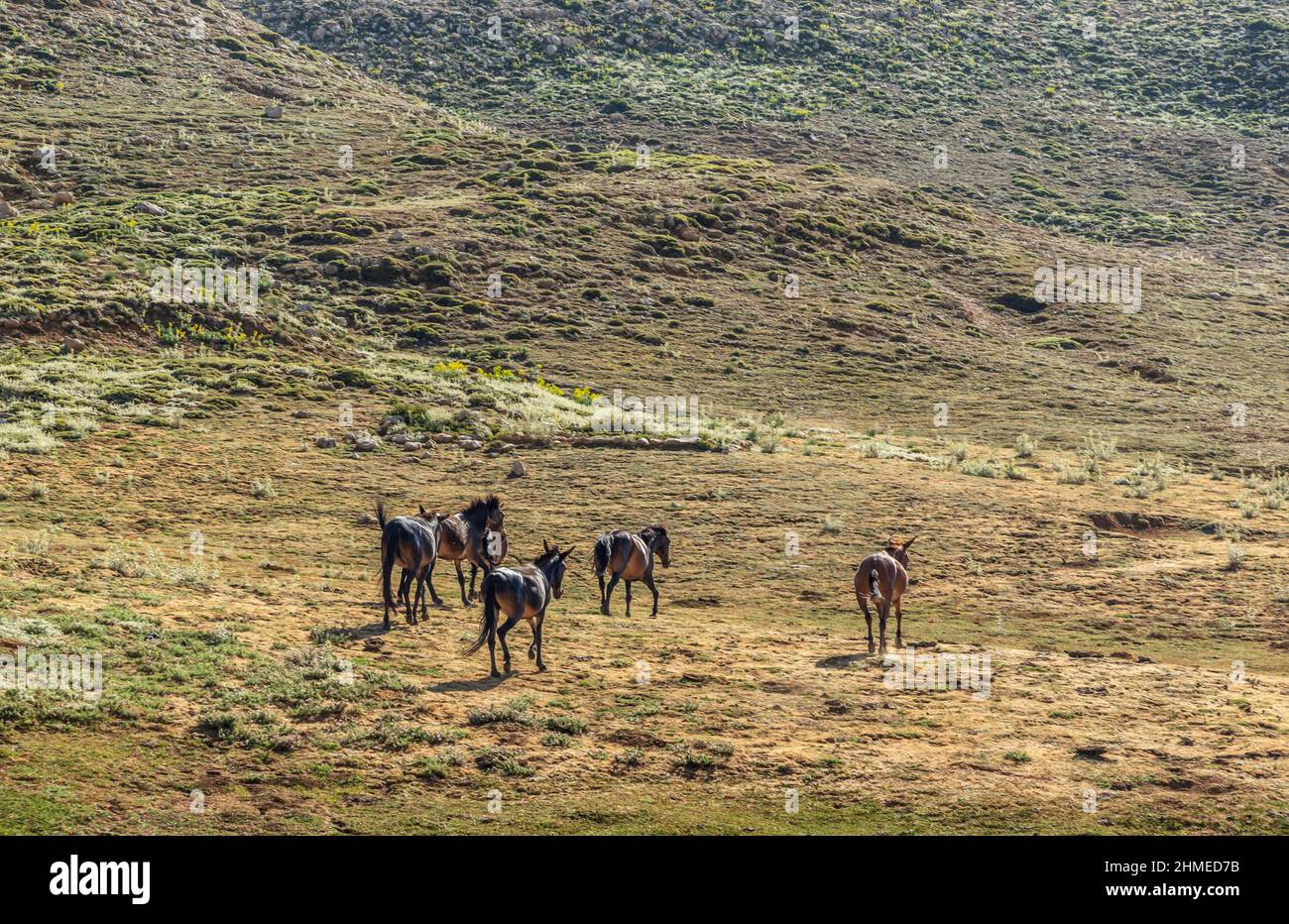 A country of stones, Taşeli Plateau. Taşeli Plateau is a karstic ...