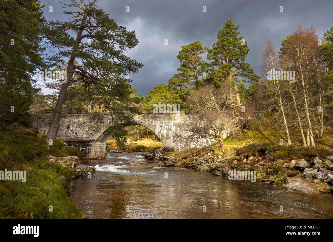 RIVER LUI MAR LODGE ESTATE BRAEMAR SCOTLAND SCOTS PINES Pinus ...
