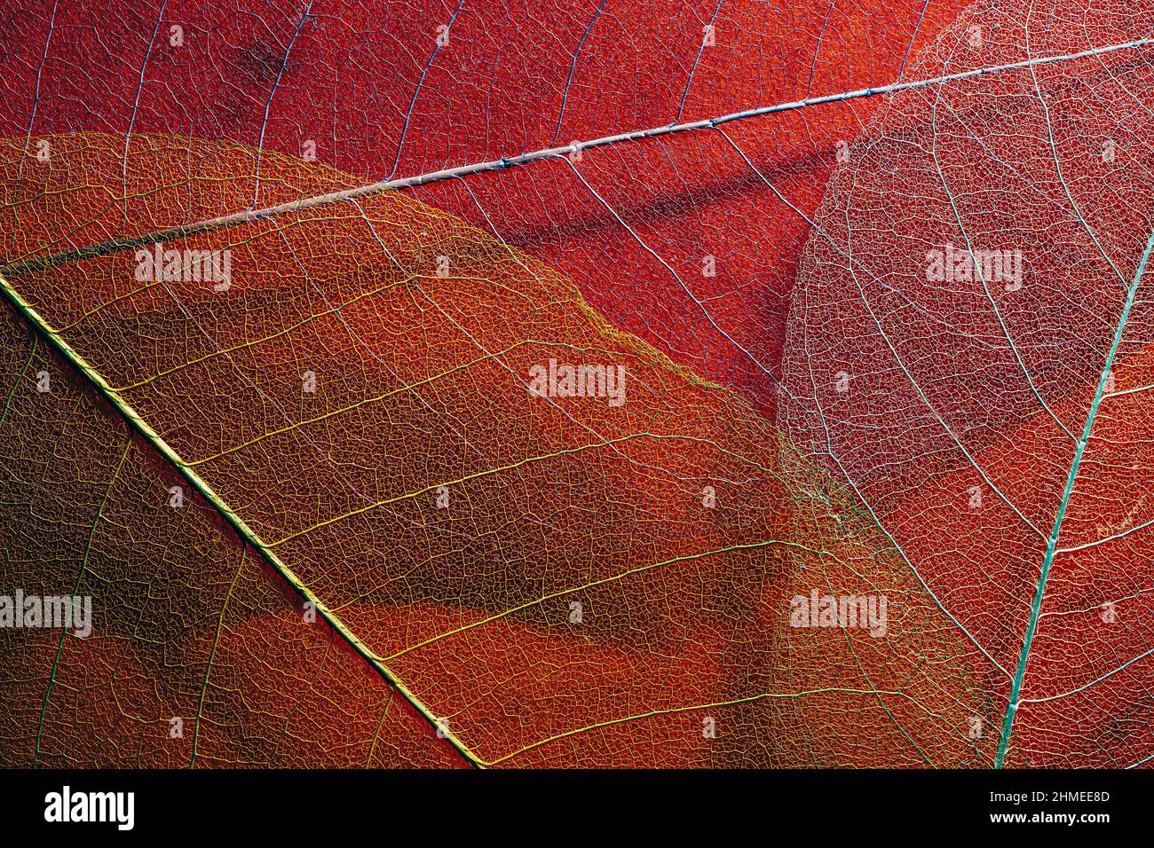 elements of nature authentic naturalness biophilic composition. nature ...