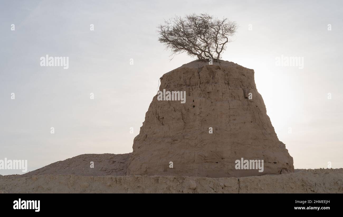 Dukhan qatar hi-res stock photography and images - Alamy