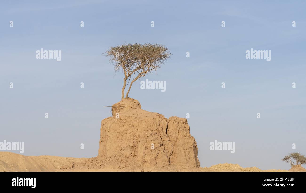 Dukhan beach hi-res stock photography and images - Alamy