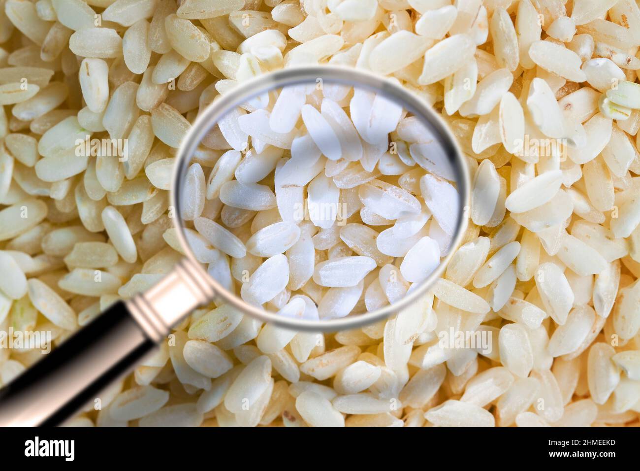 Detail of rice grains - concept image seen through a magnifying glass ...