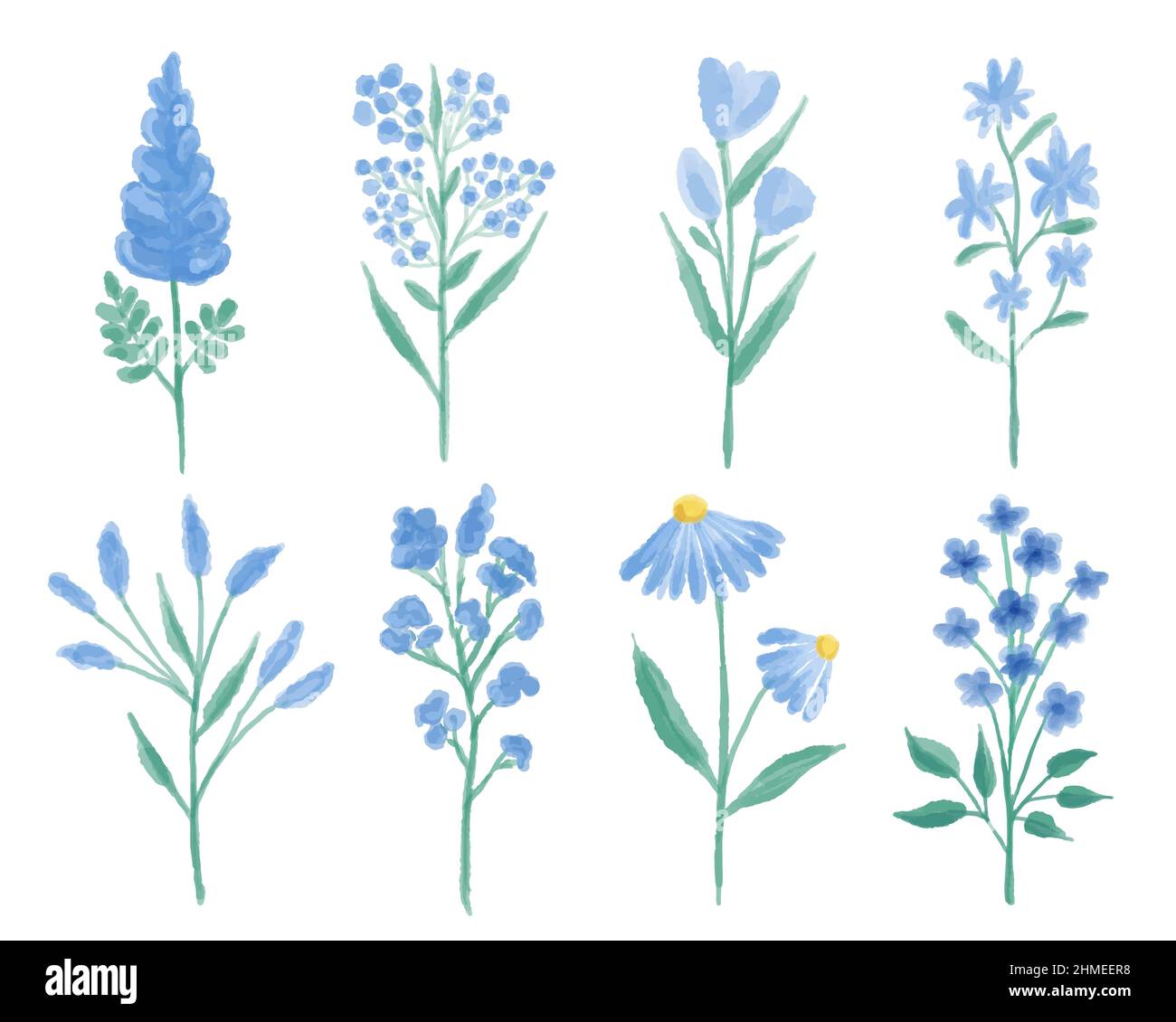 Vector collection of blue wildflowers hand painted in watercolor Stock ...
