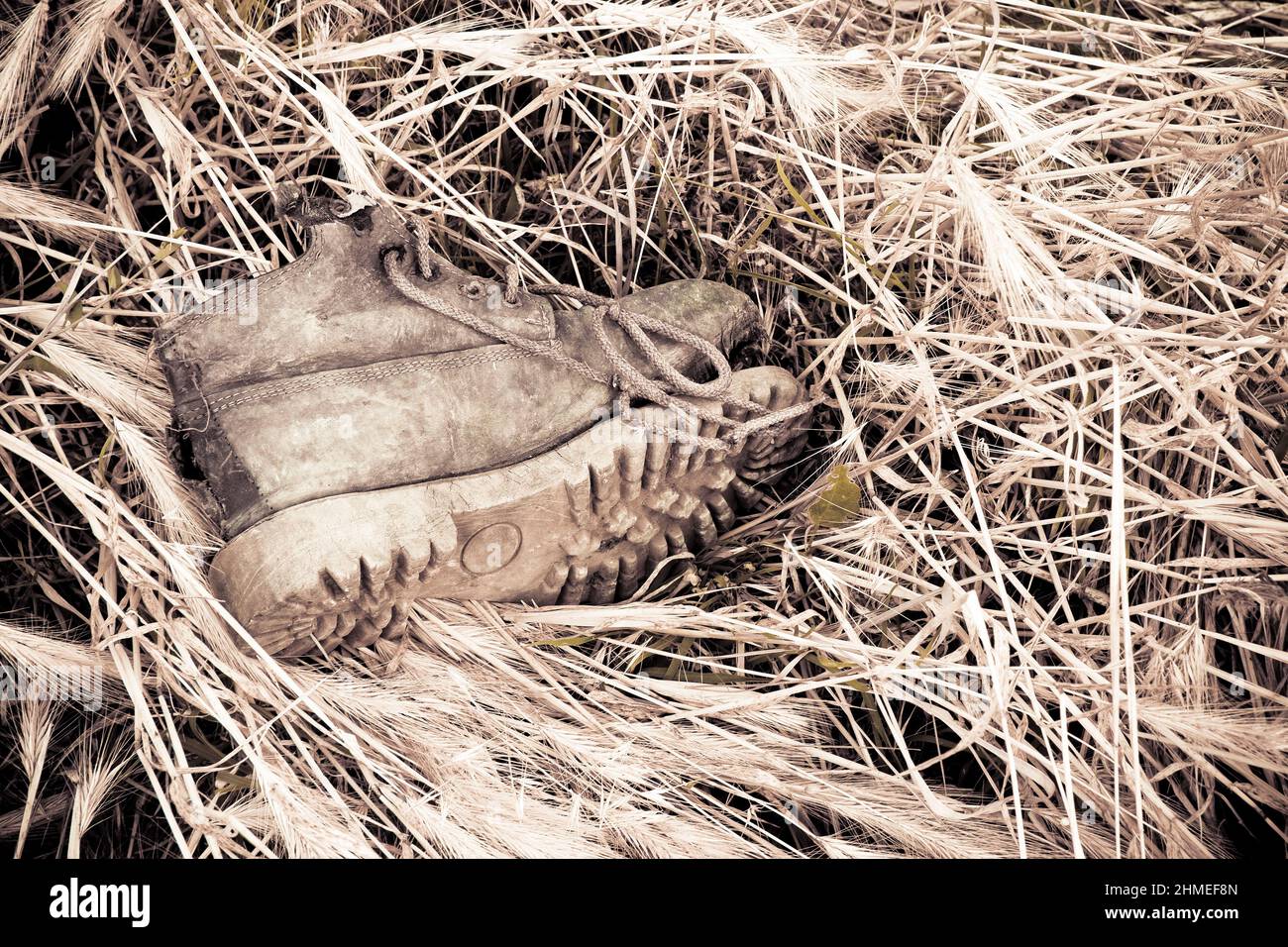 Old broken boot abandoned in a dry grass carpet - toned image Stock ...