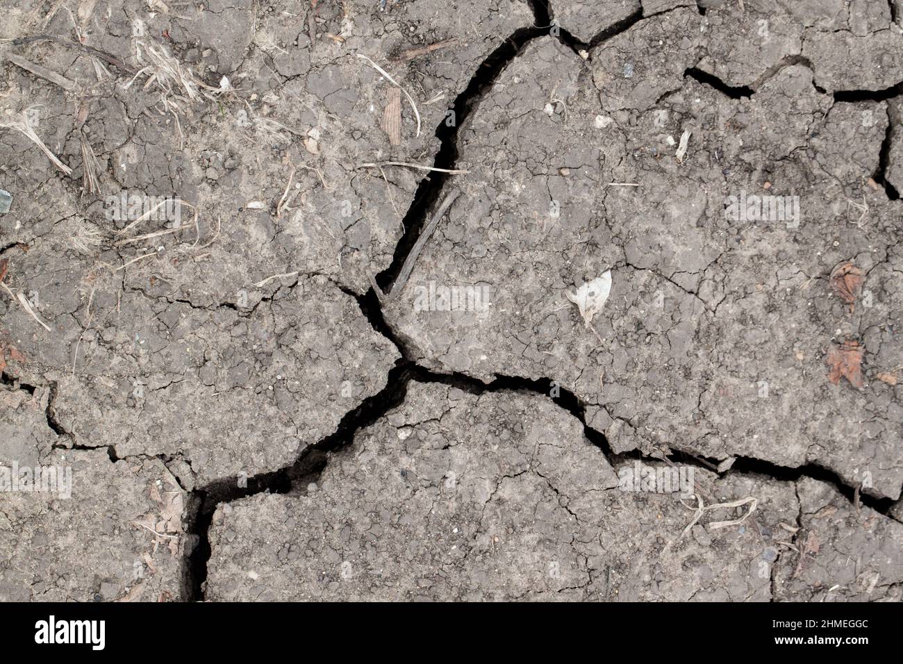 Close up of dry cracked soil. As background Stock Photo - Alamy