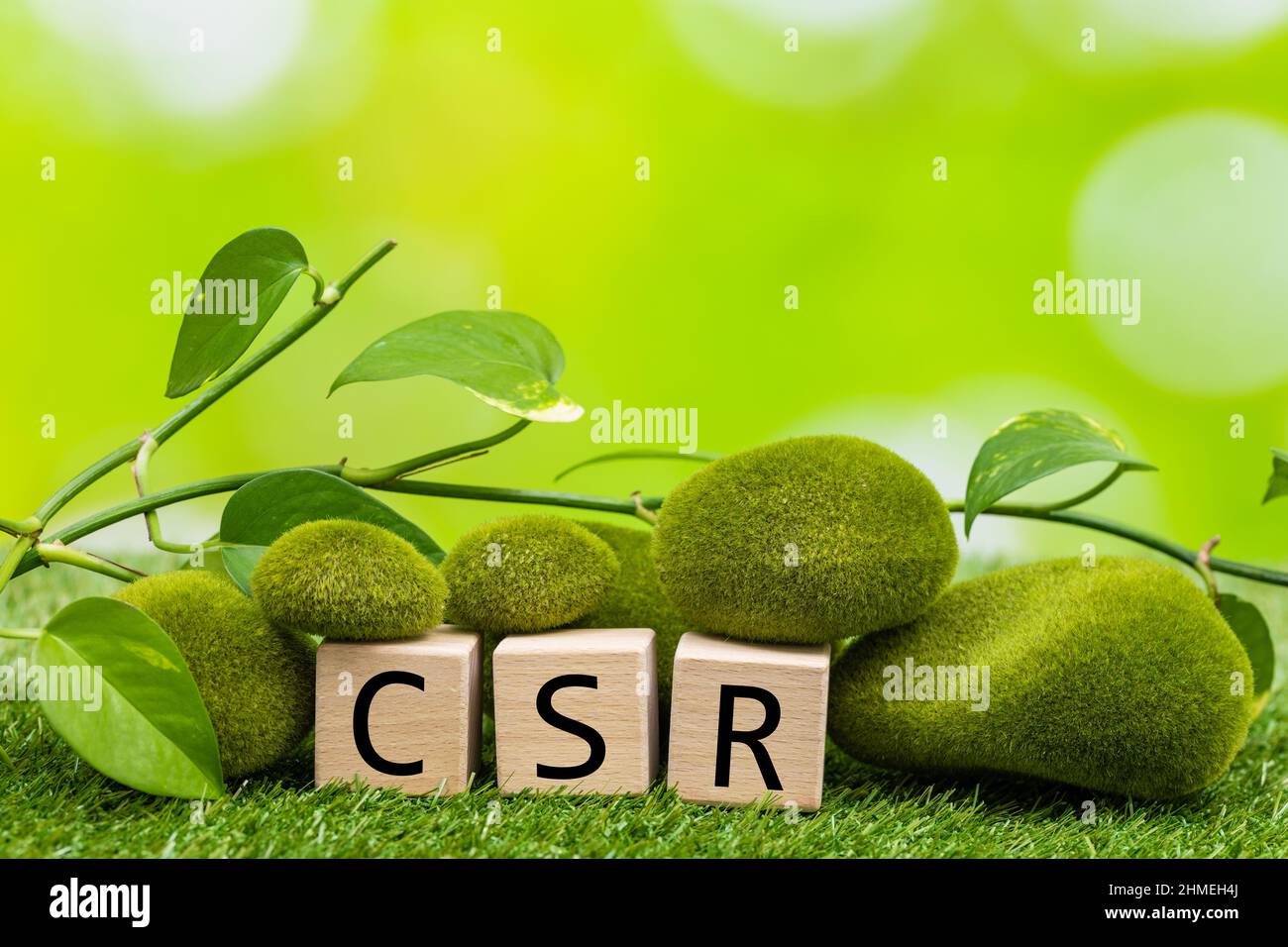 CSR on wooden blocks, green nature background, concept, for business ...
