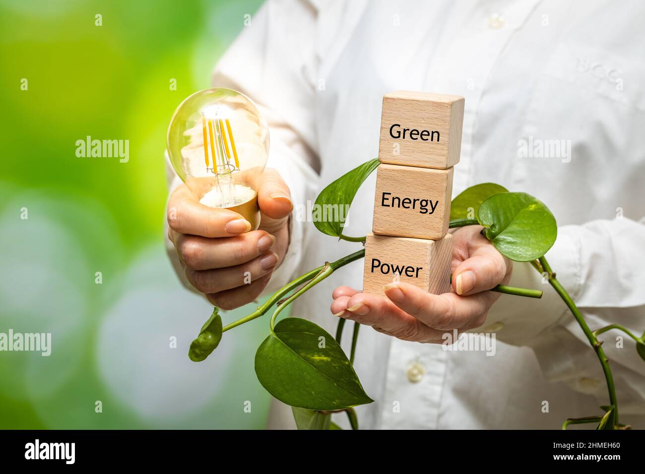 A woman holding a light bulb with green leaves in her hands and wooden ...
