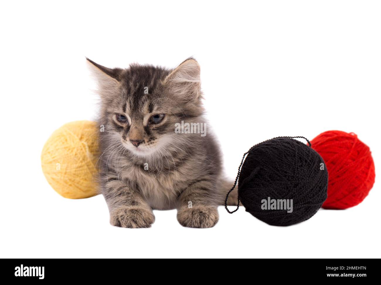 Funny brown kitten and balls of thread isolated on white Stock Photo ...
