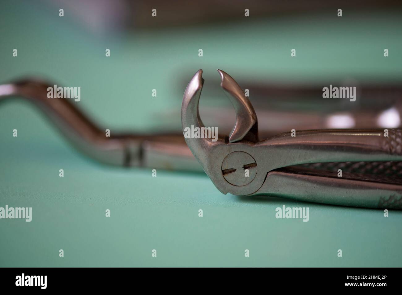 Dental instrument - forceps. Close-up. Medicine concept Stock Photo - Alamy