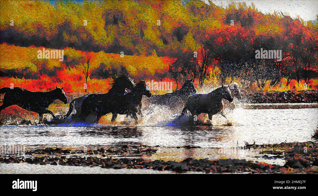 A group of horses running through the shallow water on river with ...