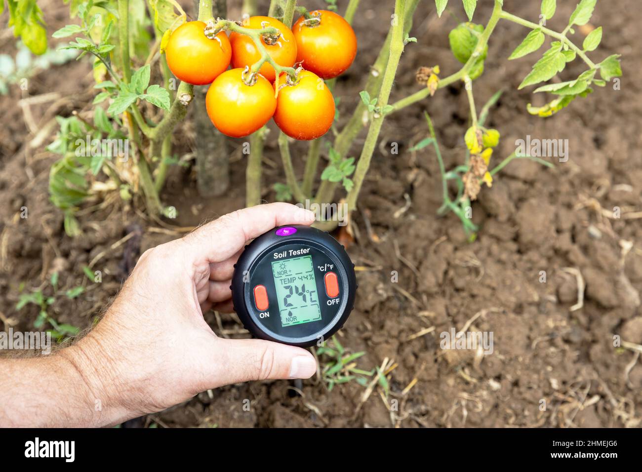 Measuring temperature, moisture content of the soil, environmental ...
