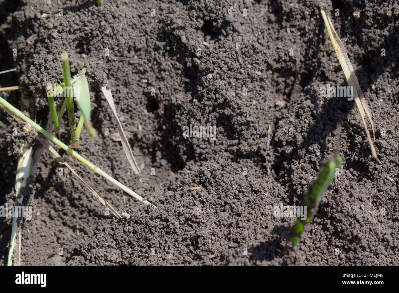 black ground texture or background located on a whole background Stock ...