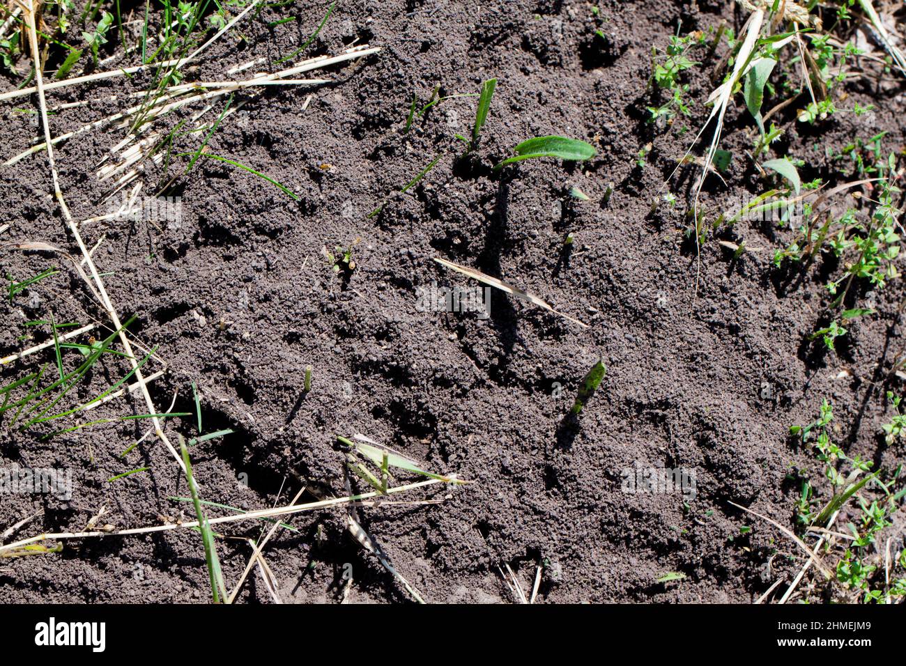 black ground texture or background located on a whole background Stock ...
