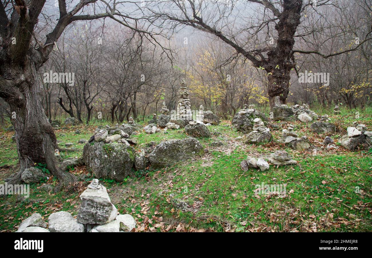 Deep Foggy Forest in spring located as a whole background Stock Photo ...