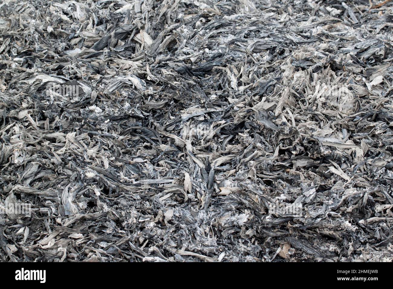 Gray ash from the fire. Whole background Stock Photo - Alamy