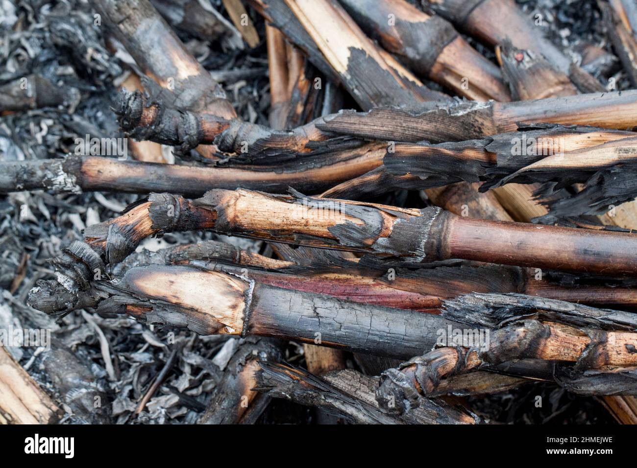 Gray ash from the fire. Whole background Stock Photo - Alamy