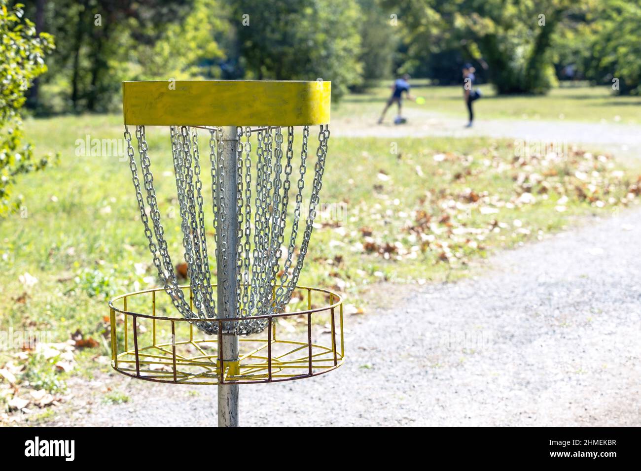 People playing flying disc golf sport game in the nature Stock Photo ...