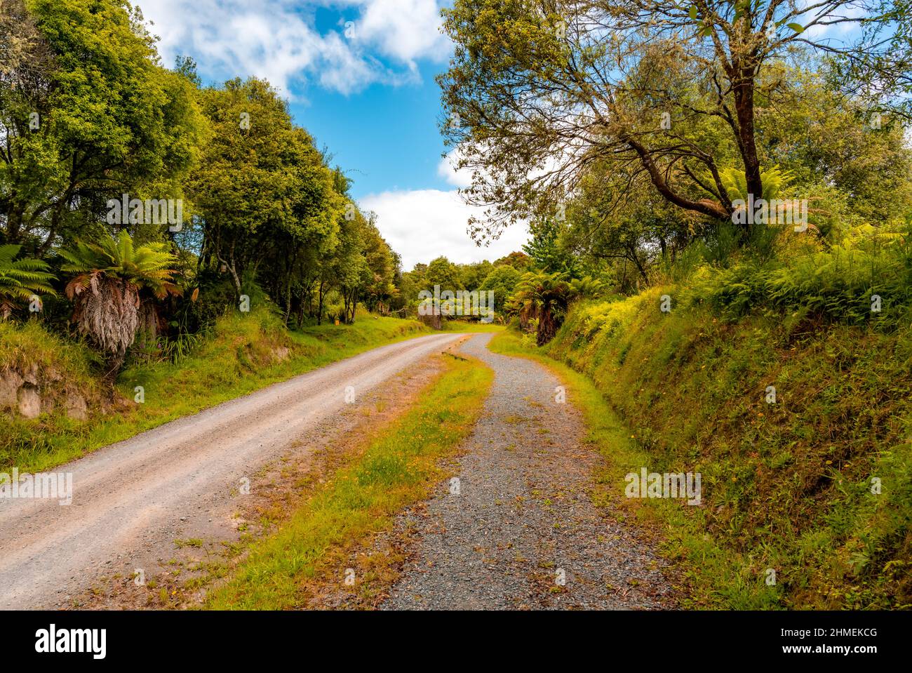 Amazing Waimangu Volcanic Valley in Rotorua Stock Photo - Alamy