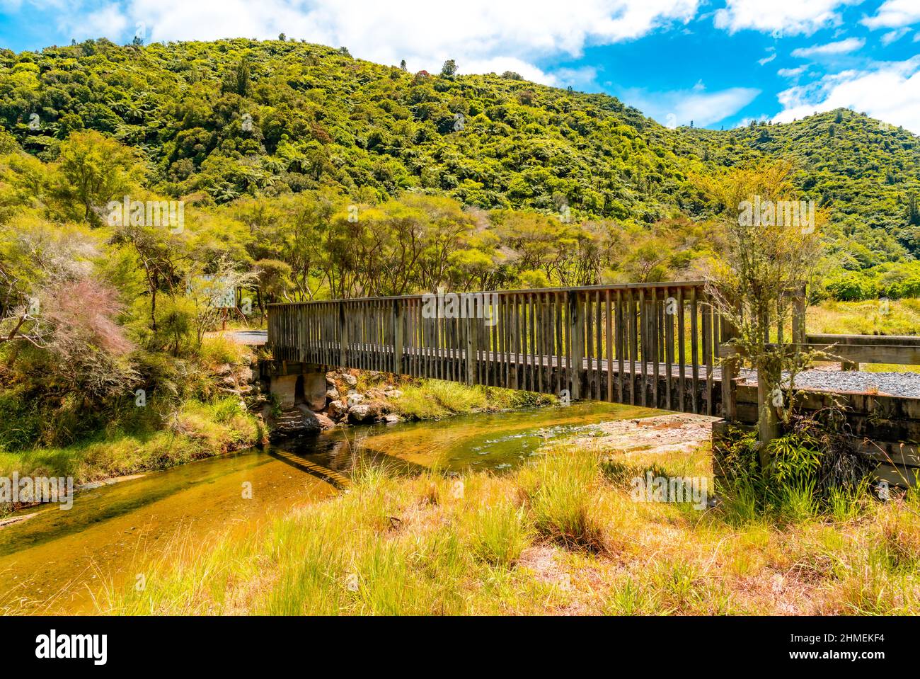 Mazing waimangu volcanic valley in rotorua hi-res stock photography and ...