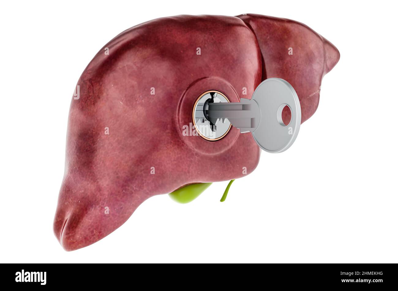 Human liver with key. Treatment and recovery concept.3D rendering ...