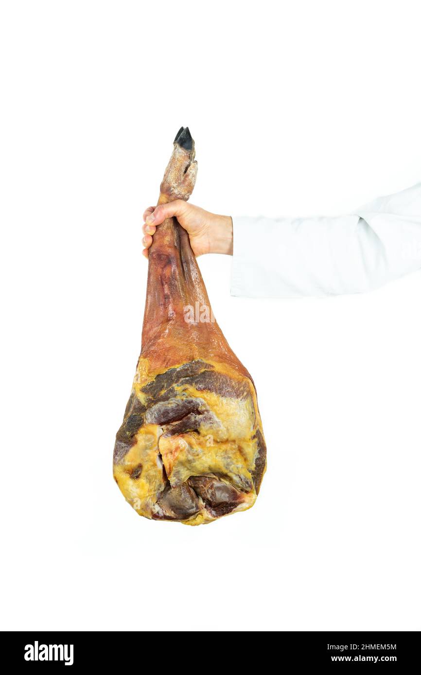 A hand in a butcher's uniform holding a cured shoulder on a white ...