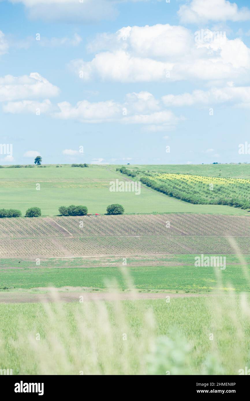 Summer farmland landscape with patchwork fields and hedgerows Stock ...