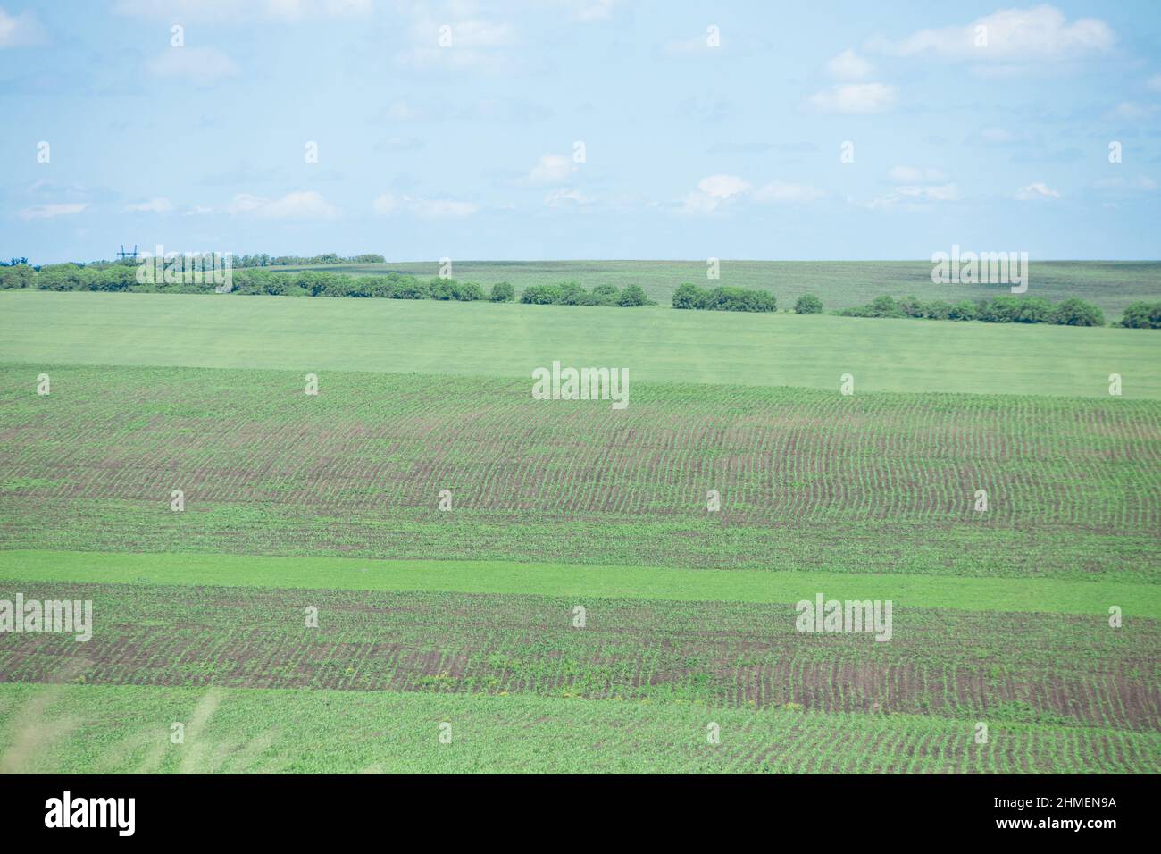 Summer farmland landscape with patchwork fields and hedgerows Stock ...