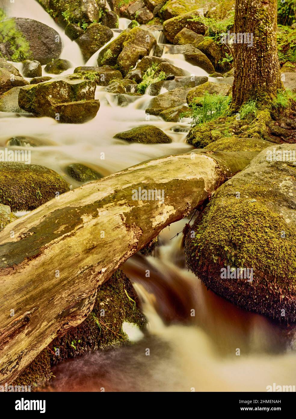 Superb Becky Falls, Water rushing through ancient woodland, natural ...
