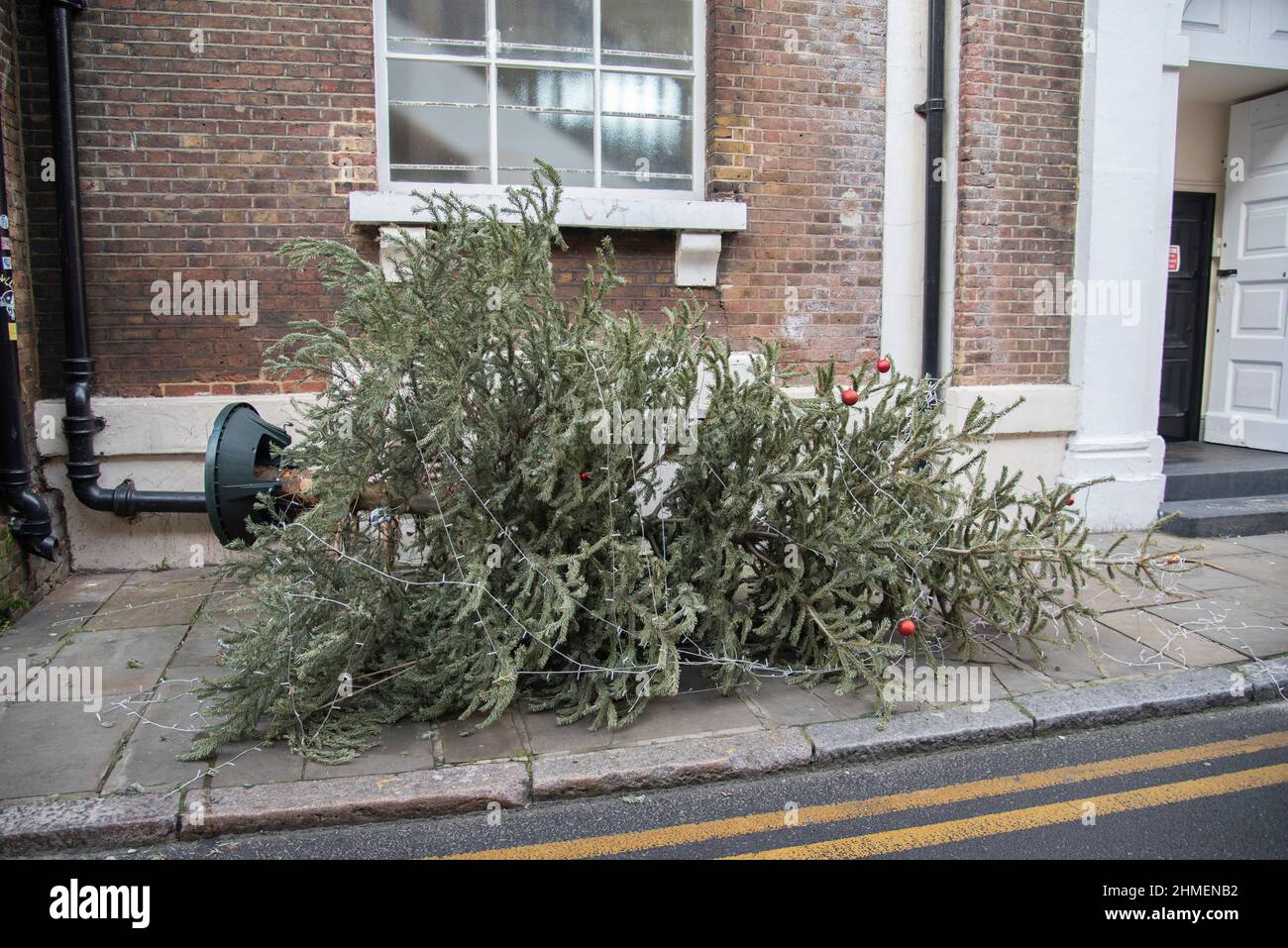 Christmas tree on the pavement of Fournier Street next to the East ...