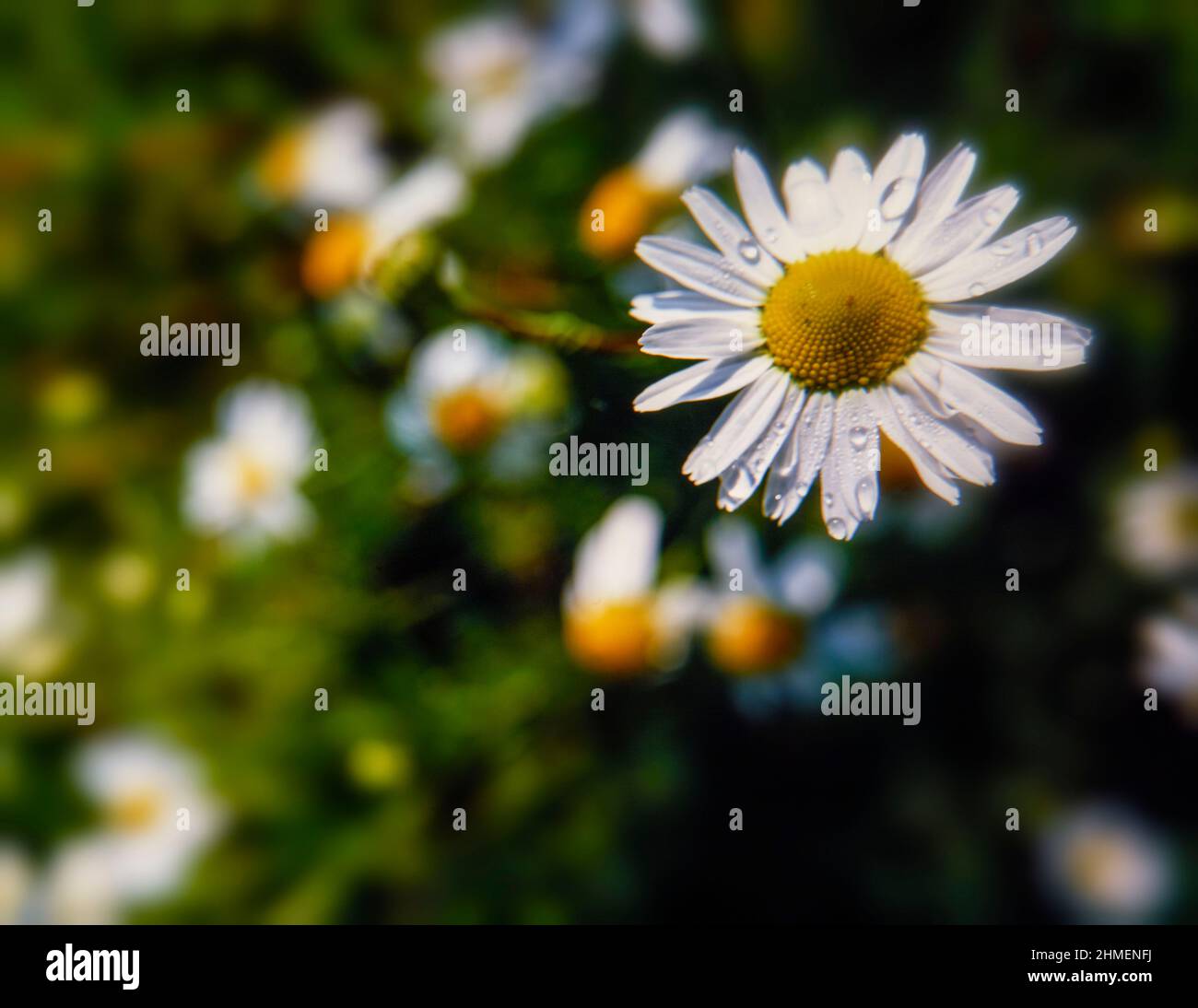 Choas, abstract patterns and textures in nature and the environment ...