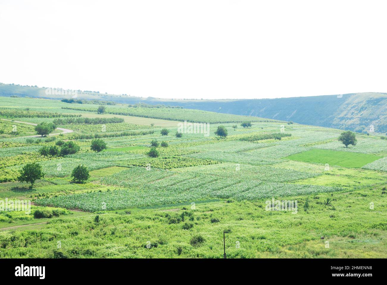 Hedgerows patchwork landscape hi-res stock photography and images - Alamy